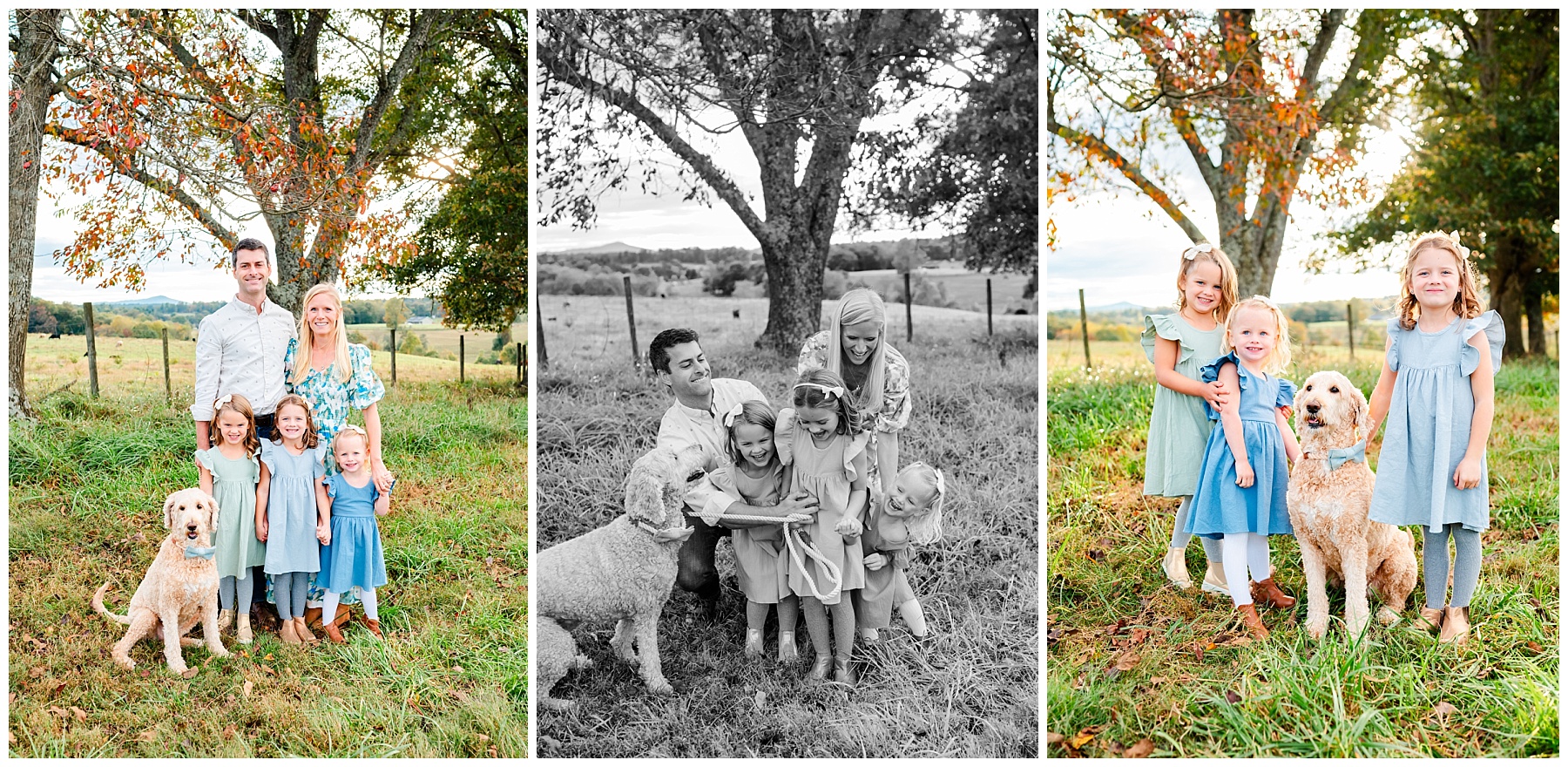 Elkin Family Farm Portraits - tashabarbourphotography.com